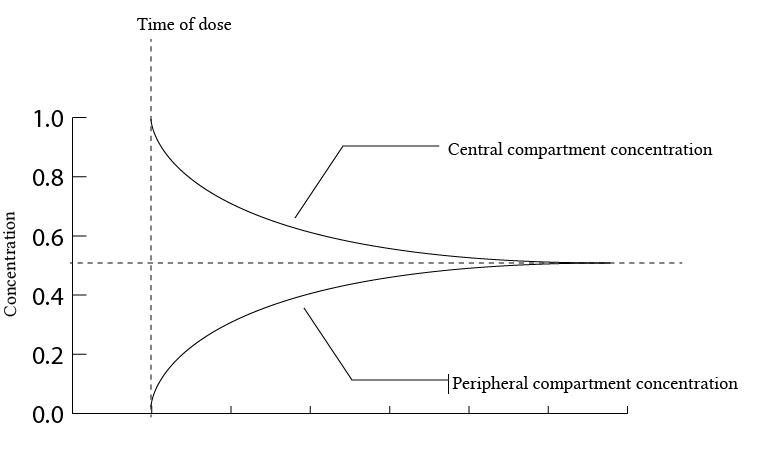 Single and multiple compartment models of drug distribution | Deranged Physiology